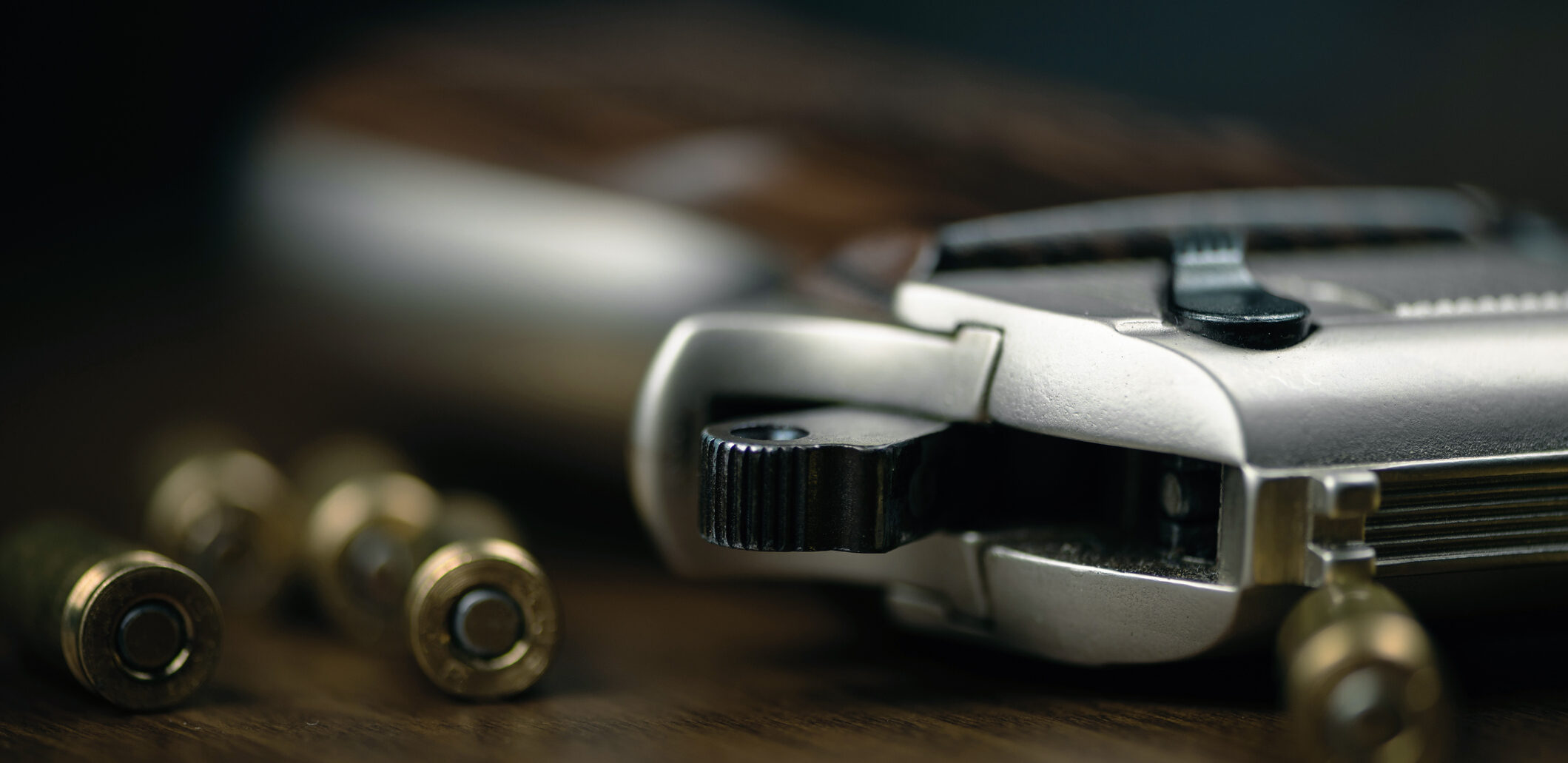 Vivian Englund v. World Pawn Exchange, LLC - Cohen Milstein